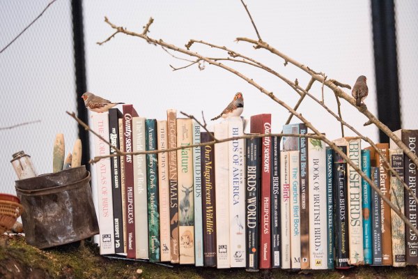 When Art Recreates the Workings of Natural History it can Stimulate ...