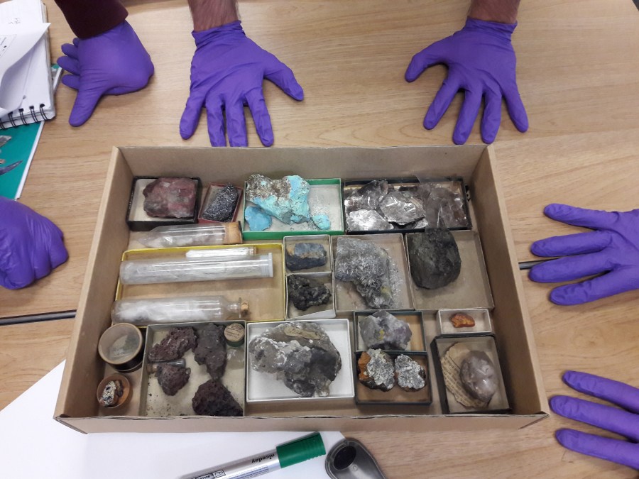 Rocks of Death and Fizzing Fossil Fish | NatSCA