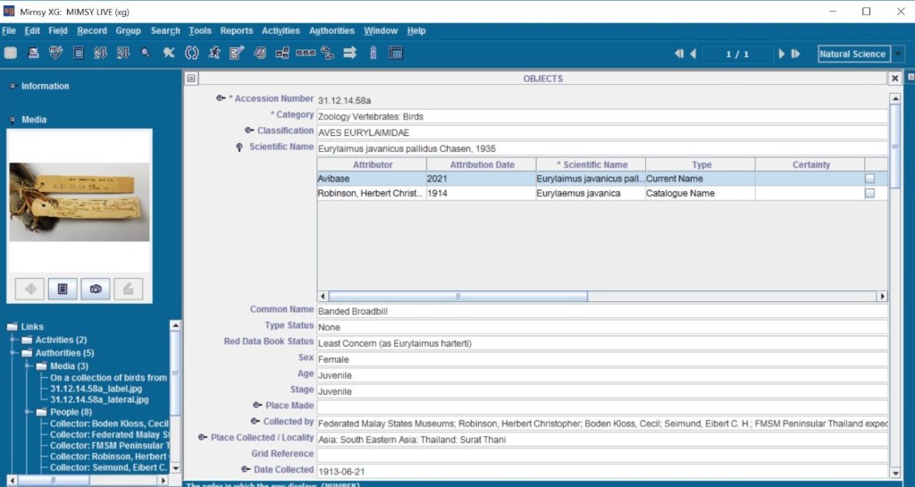 Time To Figure Out Where Specimens Are Really From | NatSCA