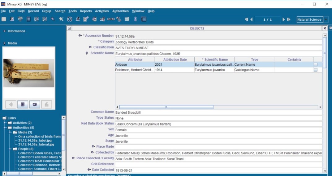 Time To Figure Out Where Specimens Are Really From | NatSCA