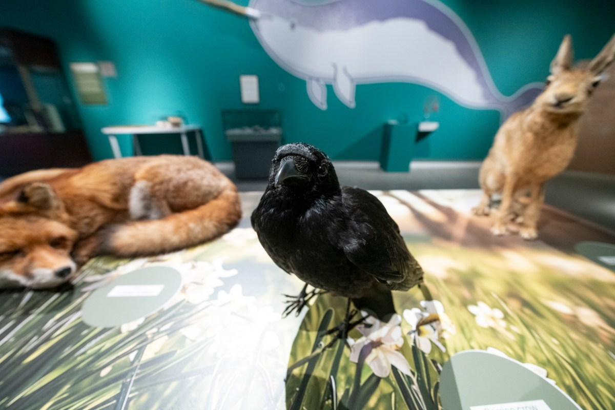 Collecting Coventry, a Temporary Exhibition at the Herbert Art Gallery ...