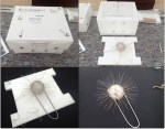 Packing the Blaschka Glass Models | NatSCA