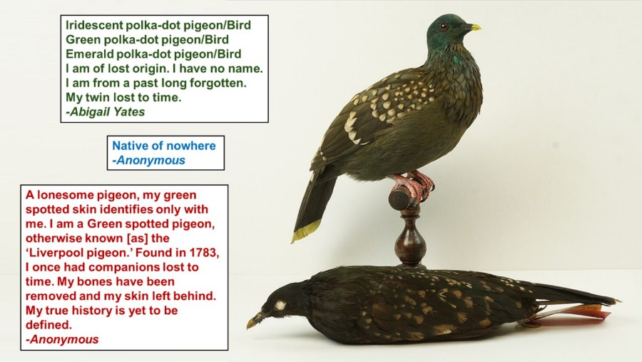 Liverpool, Natural History and Extinction: The Case of a Real Liver ...